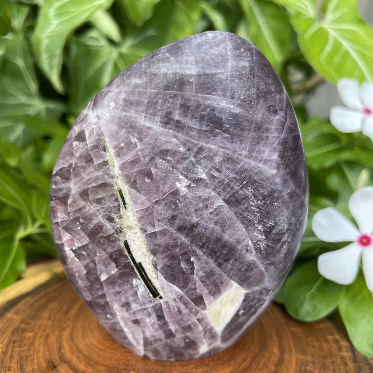 Purple Anhydrite Crystal Rare Purple / Violet Color 577g. | Ascension ...