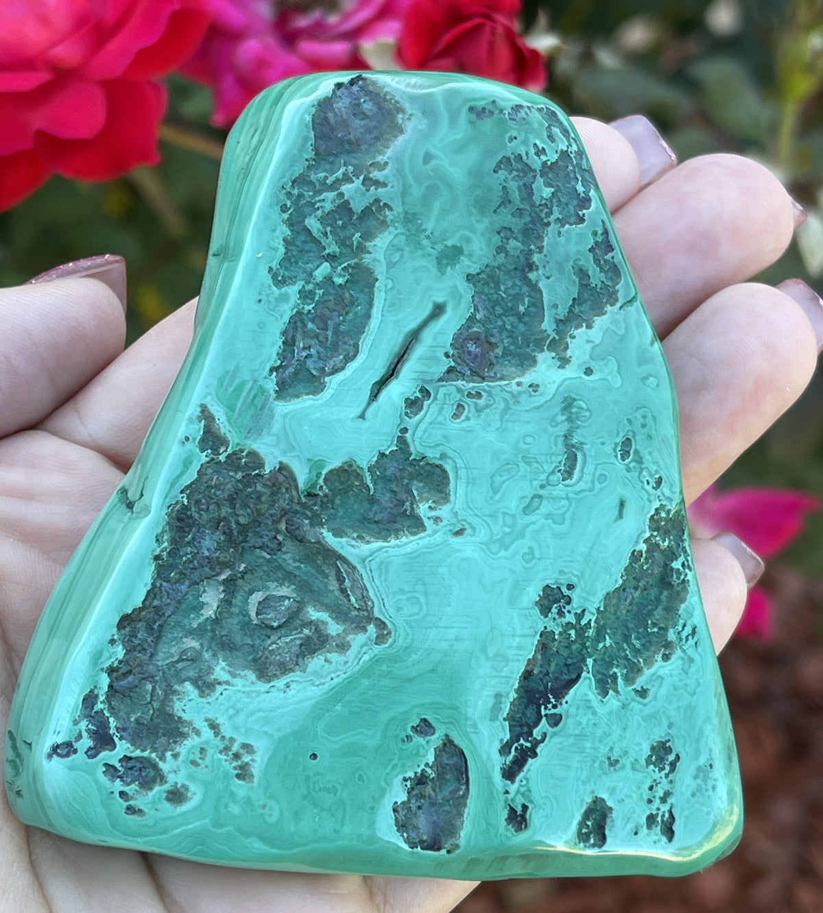 Malachite Exceptional Banding and Eyes Formation 203grams ...