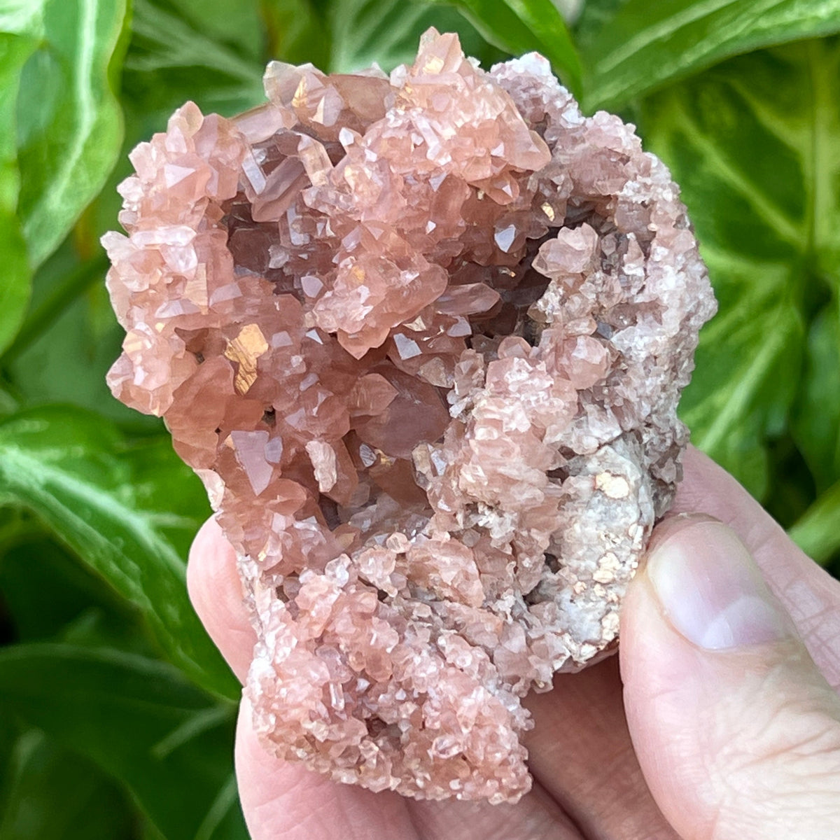 Pink Amethyst Sparkling Double Terminated Crystals | CrystalRockology ...